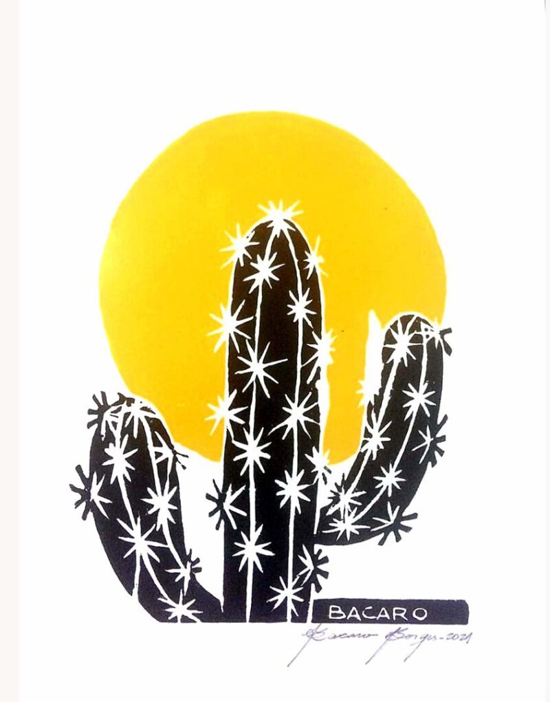 Desenho De Um Mandacaru - FDPLEARN